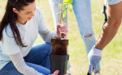 Ajman Sewerage – Wastewater Treatment Plant in Ajman – The First Public ...